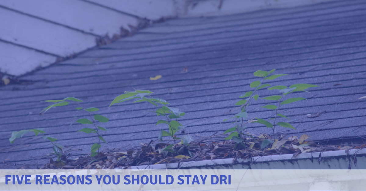 Five Reasons You Should Stay DRI - Dales Roofing, Inc.