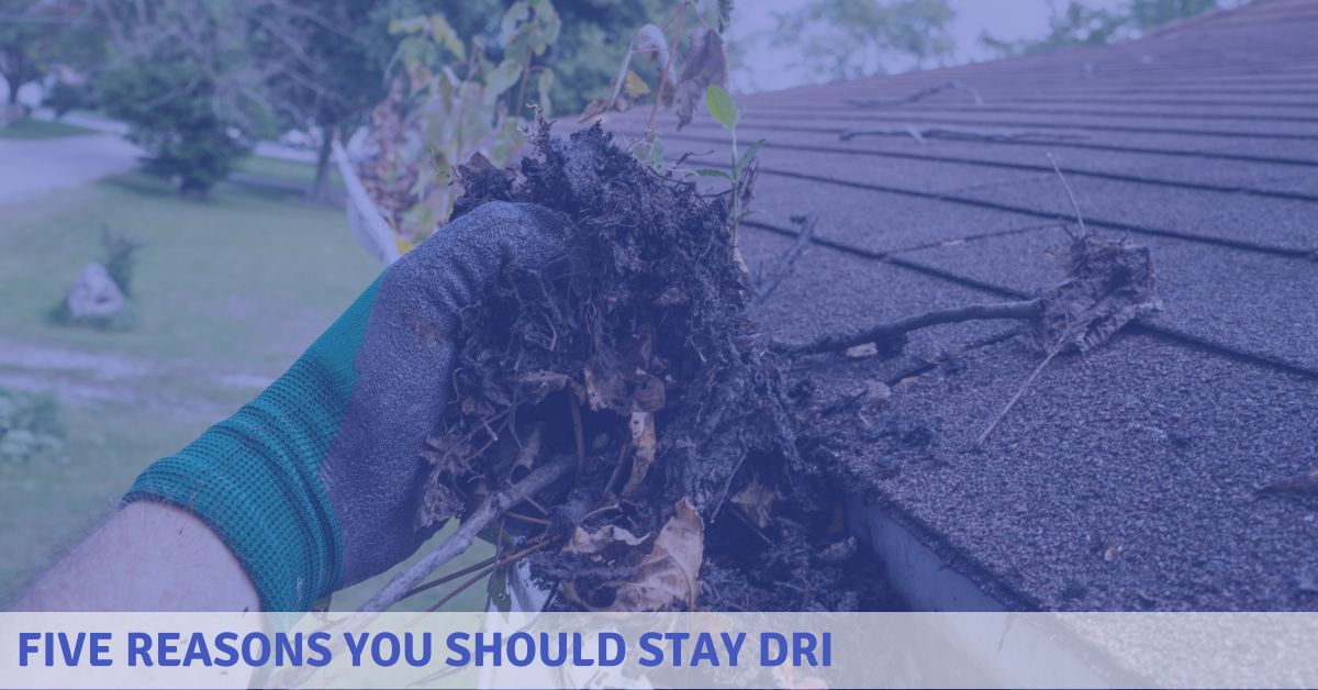 Five Reasons You Should Stay DRI - Dales Roofing, Inc.
