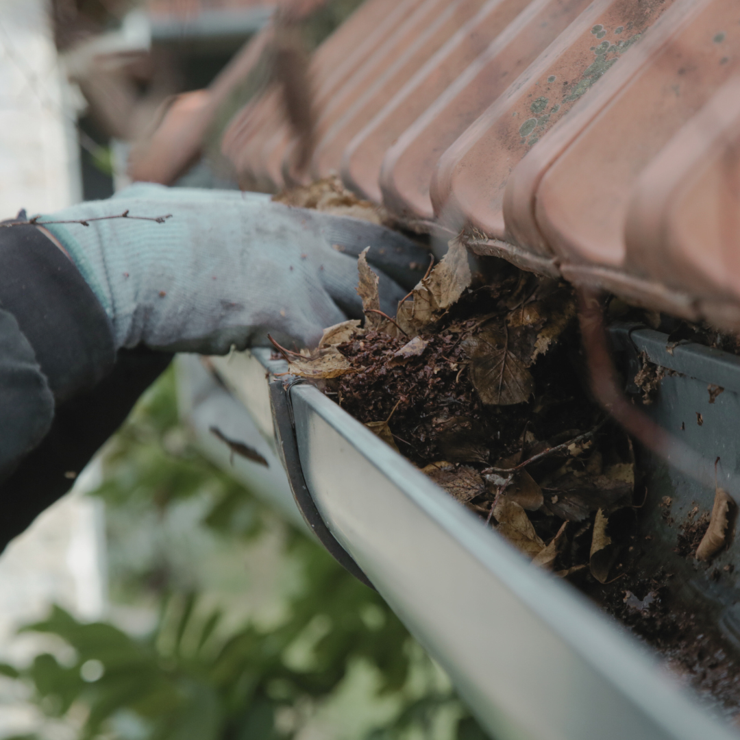 Debunking Common Residential Roofing Myths - Dales Roofing, Inc. Debunking Common Residential Roofing Myths - Dales Roofing, Inc.