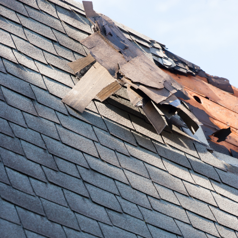 What You Need to Do for Storm Damaged Roof Shingles - Dales Roofing, Inc.
